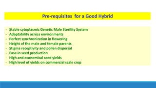 Principles of hybrid seed production | PPTX