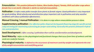 Principles of hybrid seed production | PPTX
