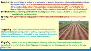 Principles of hybrid seed production | PPTX
