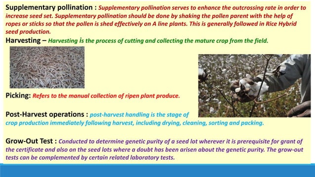 Principles of hybrid seed production | PPTX