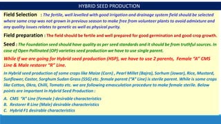 Principles of hybrid seed production | PPTX