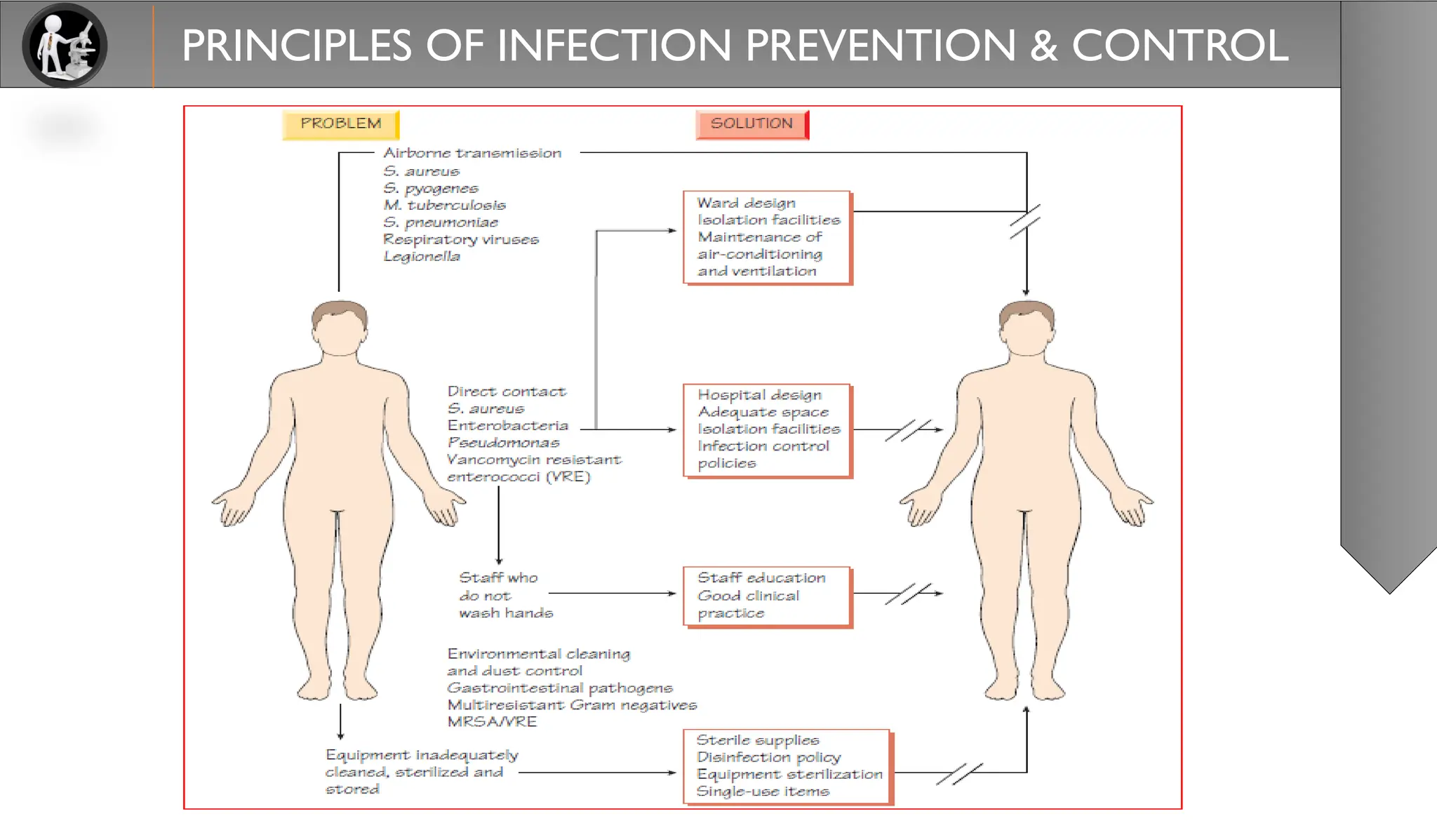 Principles of infection prevention in laboratory and hospital | PDF