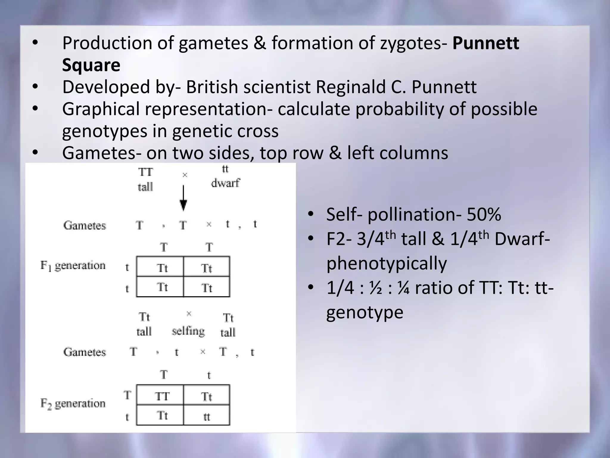 Principles of Inheritance, Class 12 CBSE | PPTX