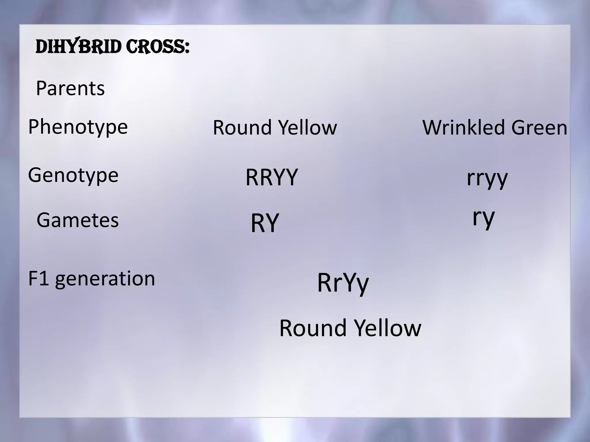 Principles of Inheritance, Class 12 CBSE | PPTX