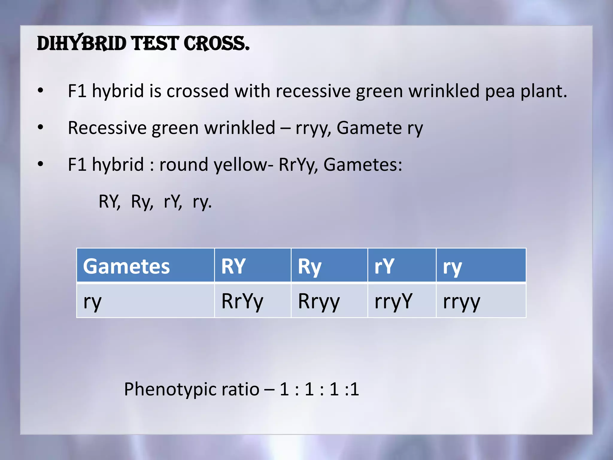 Principles of Inheritance, Class 12 CBSE | PPTX