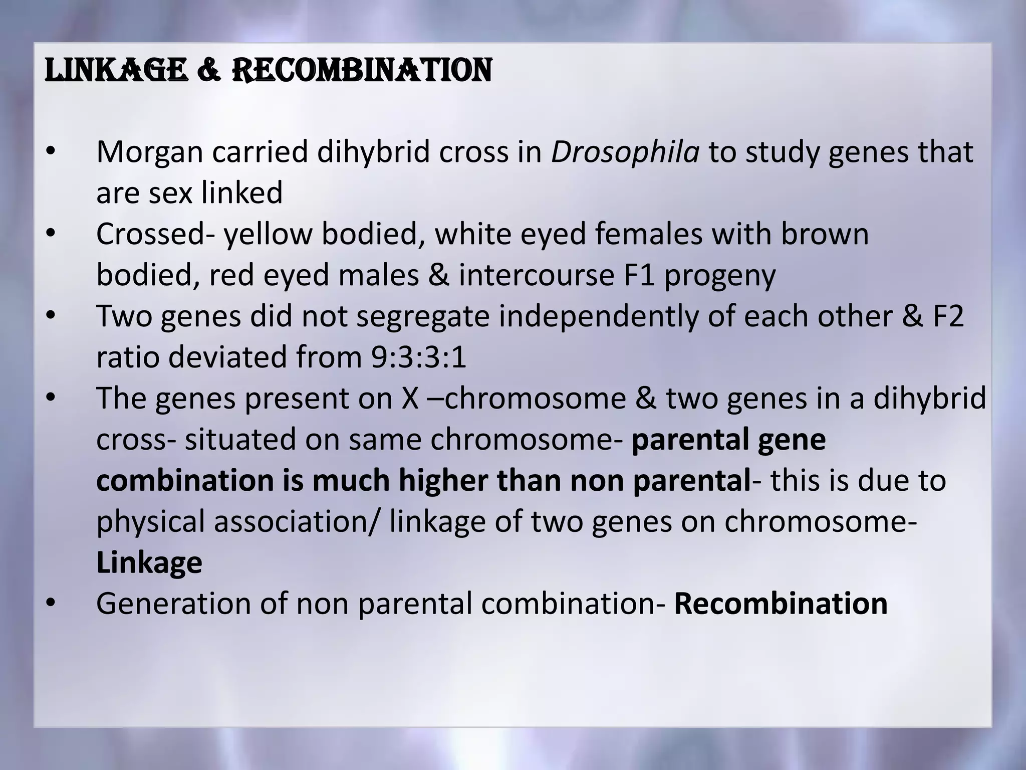 Principles of Inheritance, Class 12 CBSE | PPTX