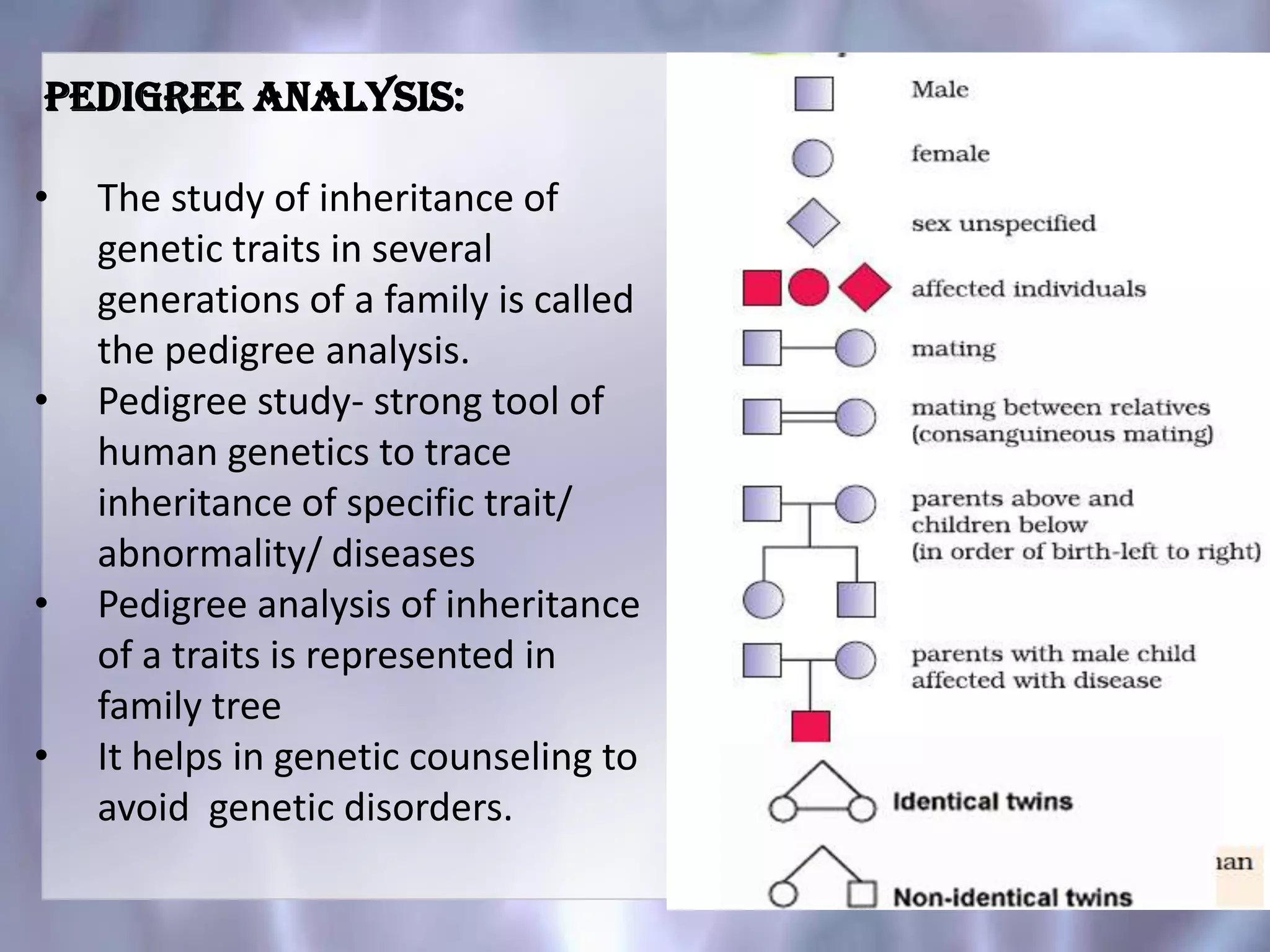 Principles of Inheritance, Class 12 CBSE | PPTX