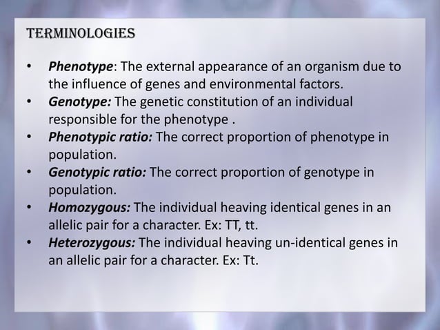 Principles of Inheritance, Class 12 CBSE | PPTX