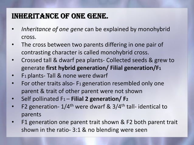 Principles of Inheritance, Class 12 CBSE | PPTX