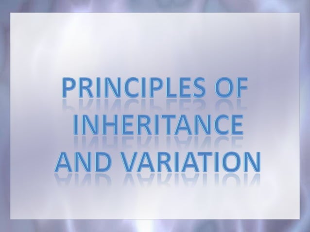 Principles of Inheritance, Class 12 CBSE | PPTX
