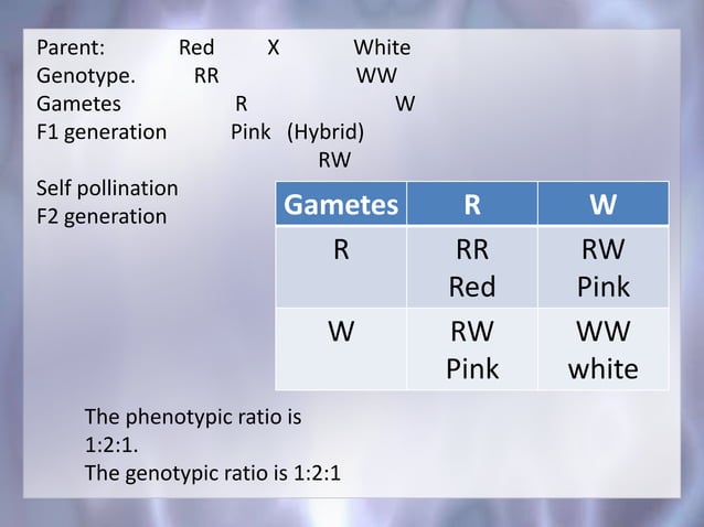 Principles of Inheritance, Class 12 CBSE | PPTX