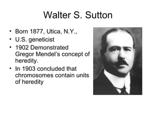 Walter S Sutton
