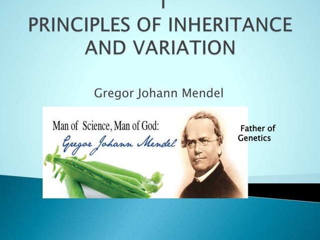 Principles of inheritance and variation | PPSX | Genetics | Science