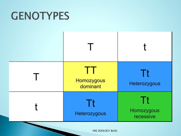 Principles of inheritance and variation | PPSX | Genetics | Science