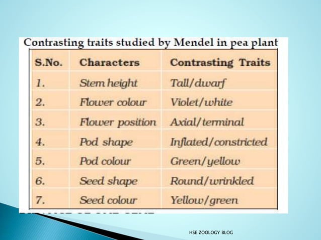 Principles of inheritance and variation | PPSX | Genetics | Science