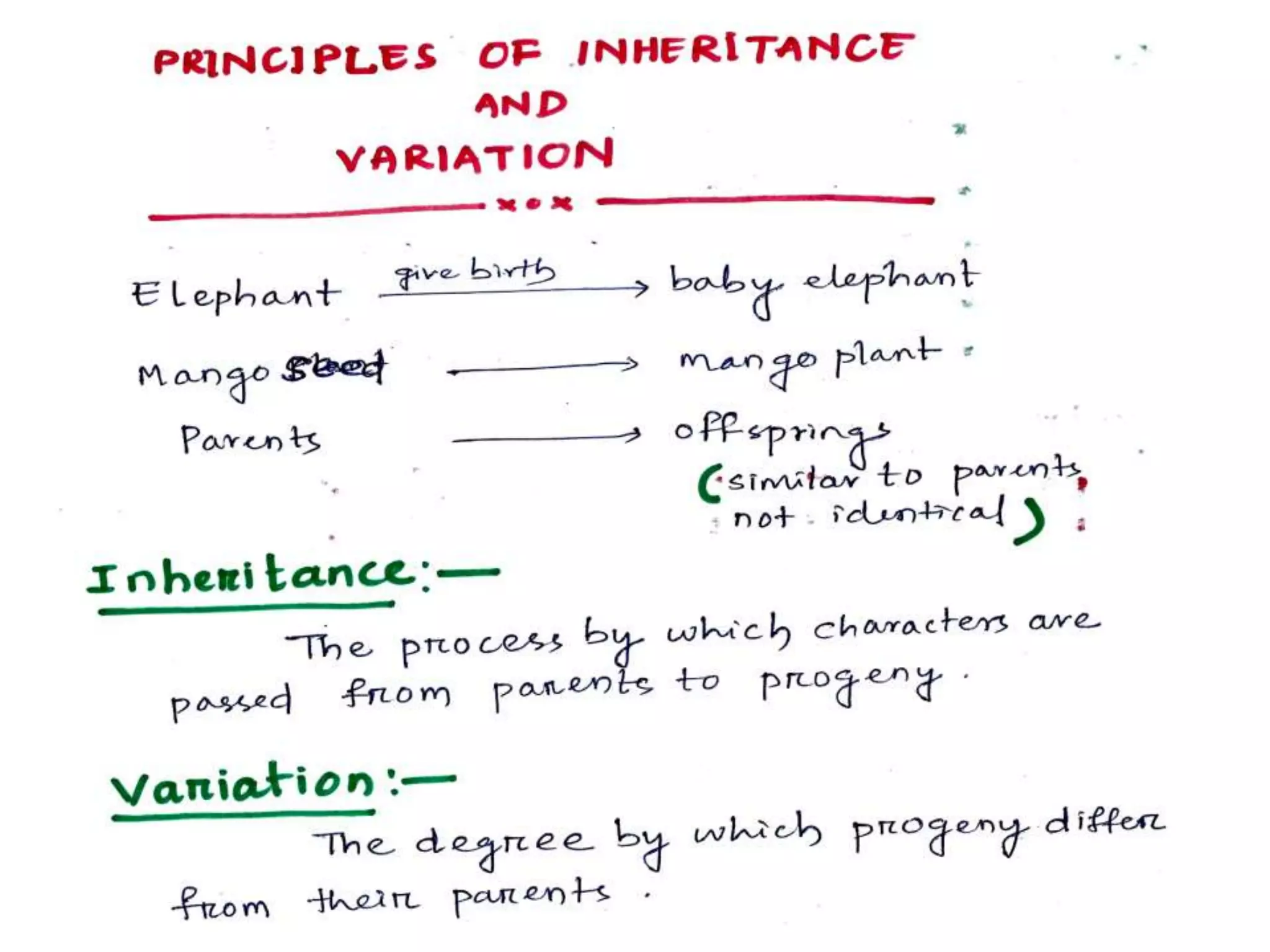 Principles of inheritance and variation (Class 12) | PPTX