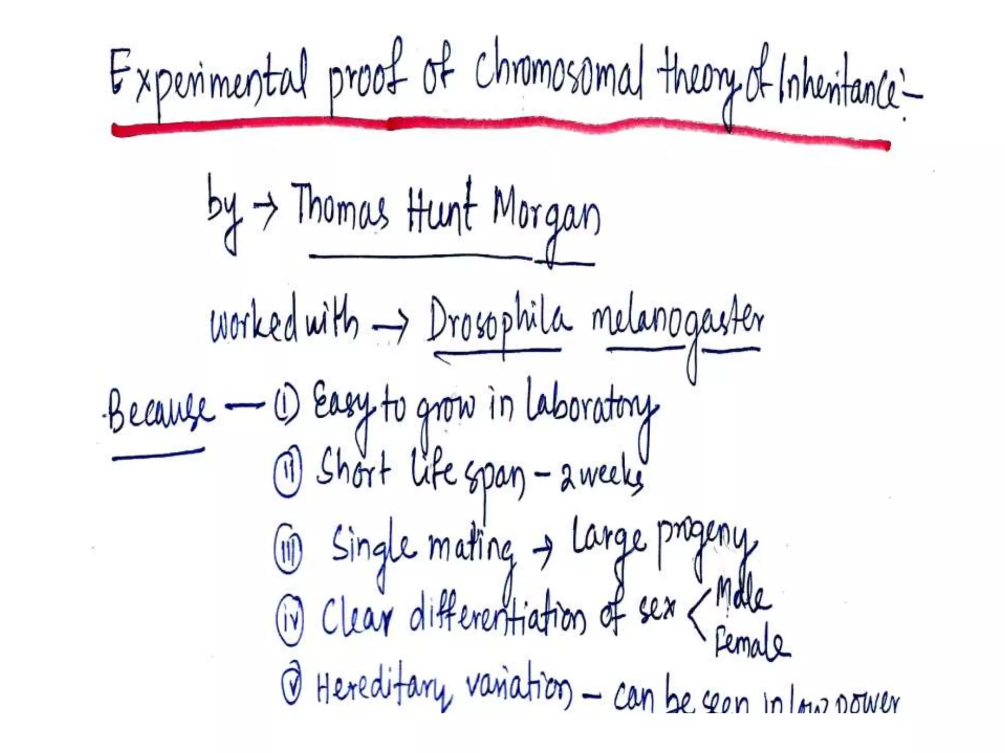 Principles of inheritance and variation (Class 12) | PPTX