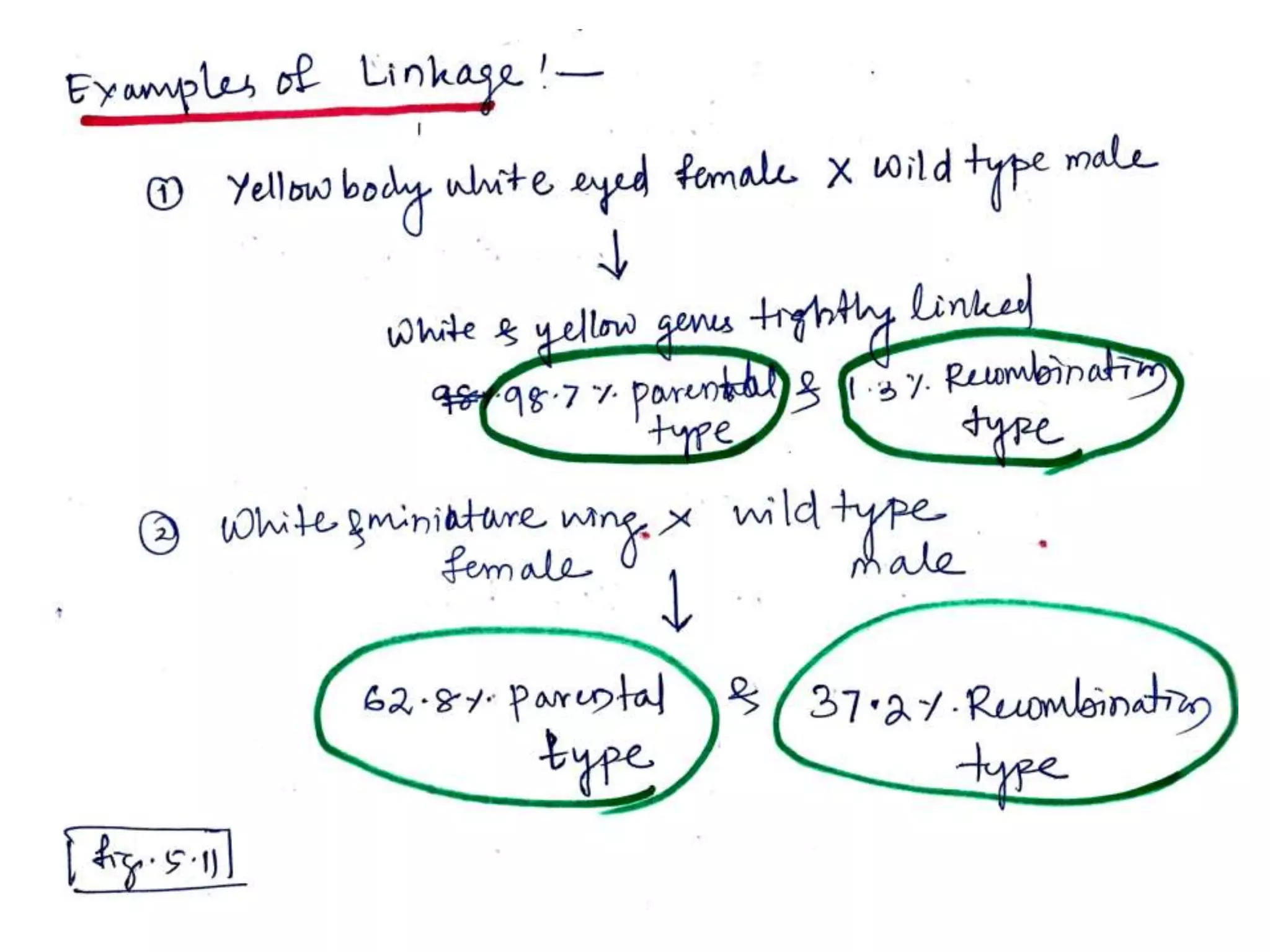 Principles of inheritance and variation (Class 12) | PPTX