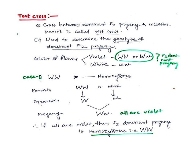 Principles of inheritance and variation (Class 12) | PPTX