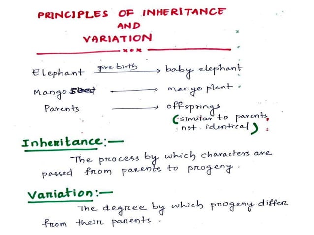 Principles of inheritance and variation (Class 12) | PPTX