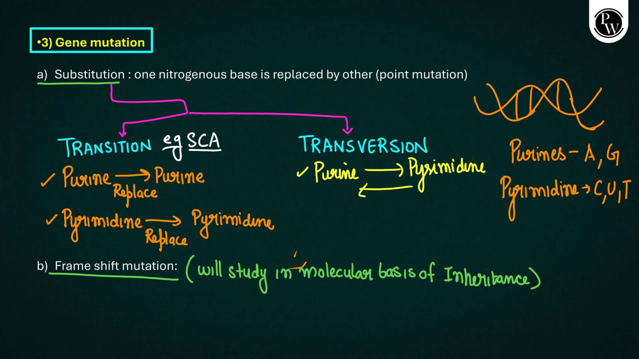 Principles Of Inheritance and Variation 08 Class Notes.pdf
