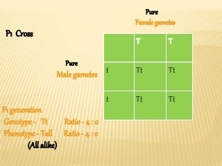Principles of inheritance and variations presentation part- I | PPTX