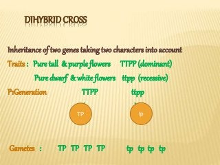 Principles of inheritance and variations presentation part- I | PPTX