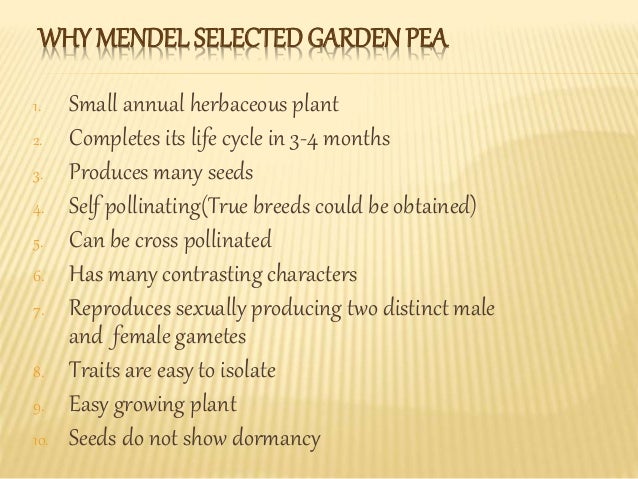 Principles of inheritance and variations presentation part- I | PPT