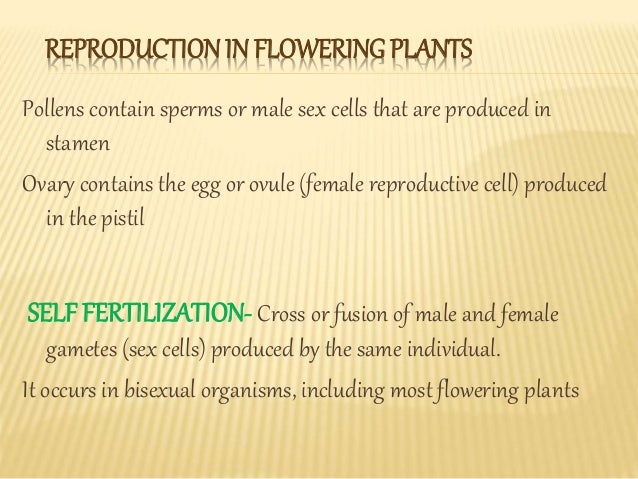 Principles of inheritance and variations presentation part- I | PPT