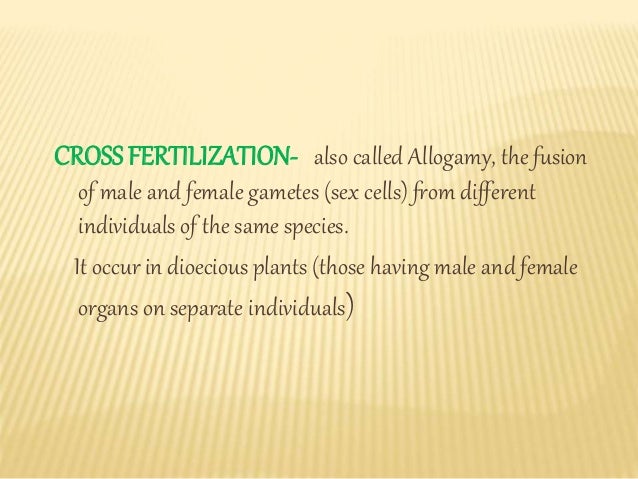 Principles of inheritance and variations presentation part- I | PPT