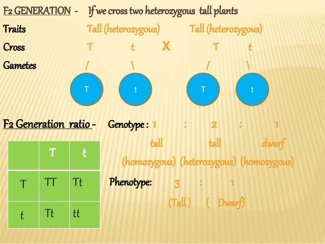 Principles of inheritance and variations presentation part- I | PPT
