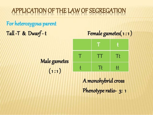 Principles of inheritance and variations presentation part- I | PPT