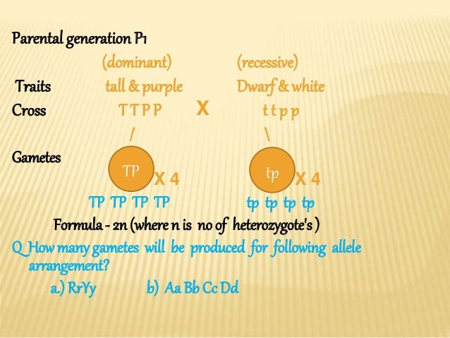 Principles of inheritance and variations presentation part- I | PPT
