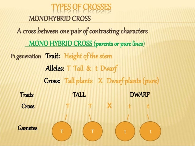 Principles of inheritance and variations presentation part- I | PPT