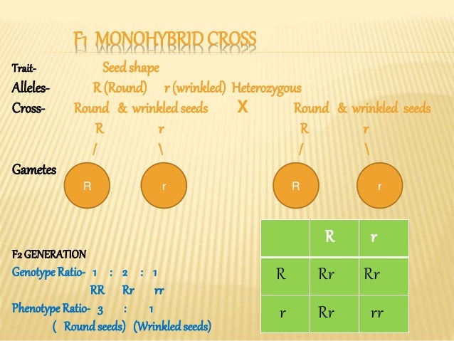 Principles of inheritance and variations presentation part- I | PPT