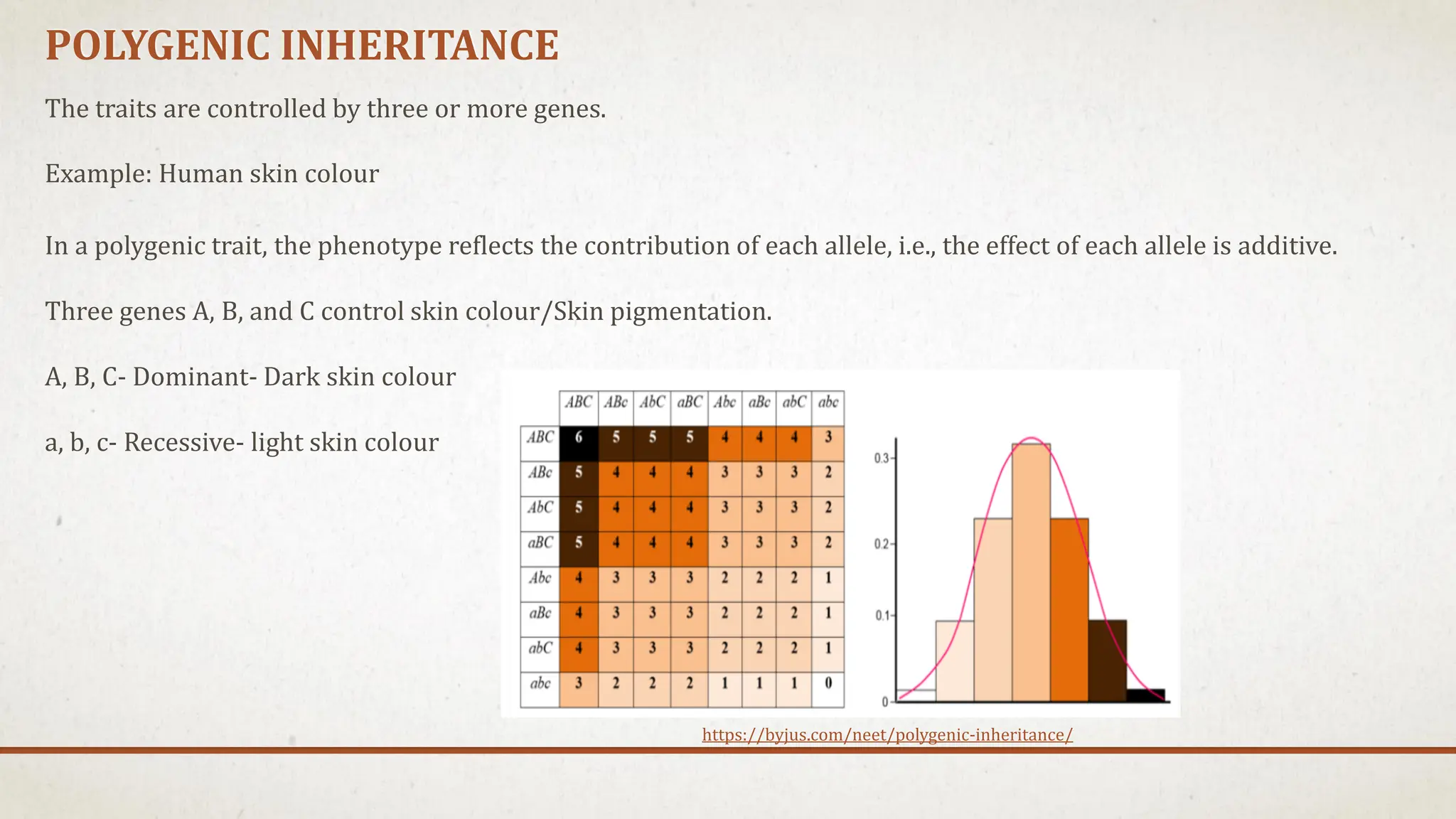 PRINCIPLES OF INHERITANCE Class XII Biology Part I | PDF