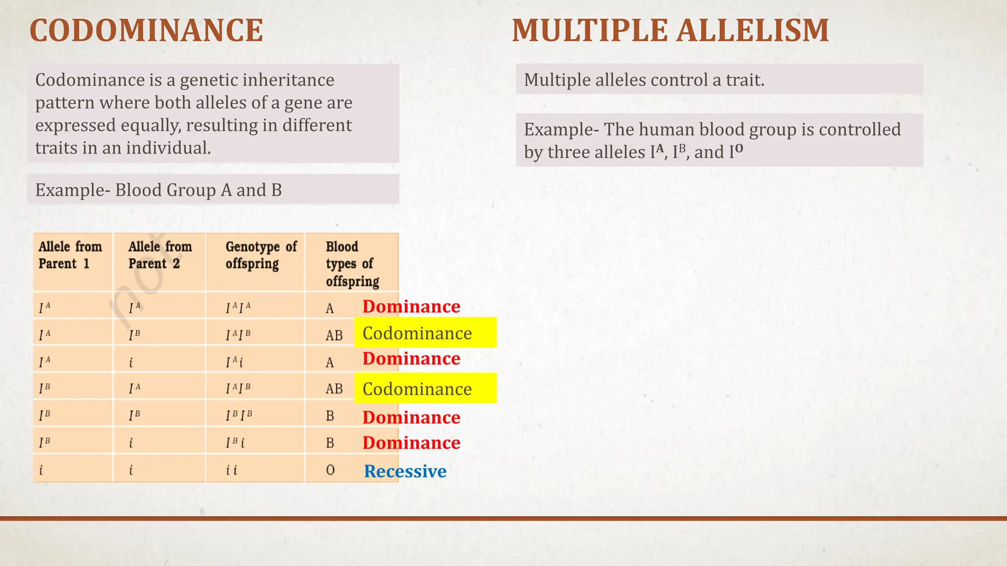 PRINCIPLES OF INHERITANCE Class XII Biology Part I | PDF