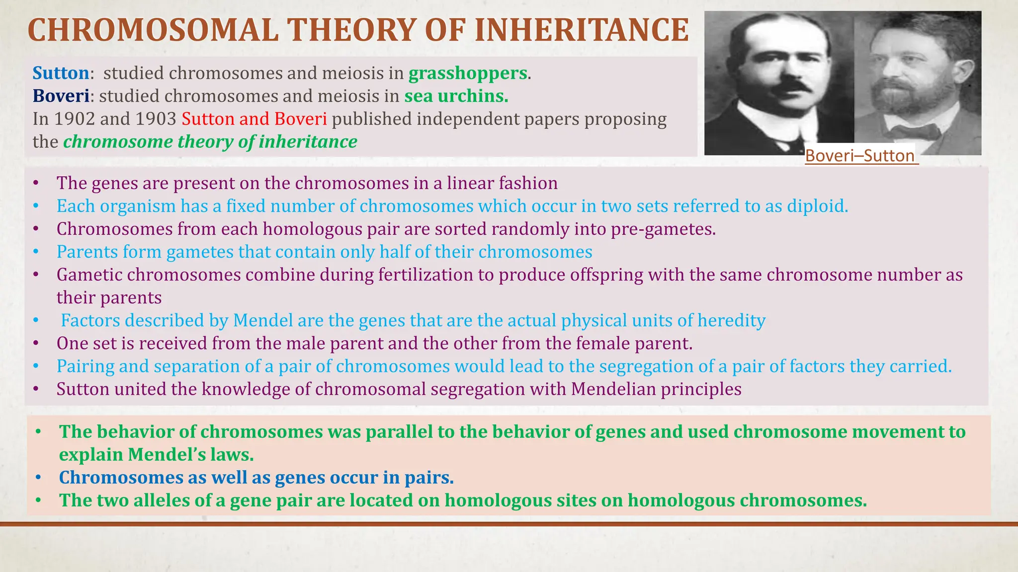 PRINCIPLES OF INHERITANCE Class XII Biology Part I | PDF