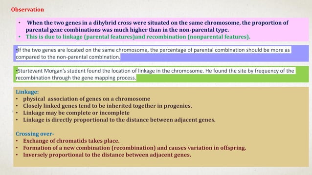 PRINCIPLES OF INHERITANCE Class XII Biology Part I | PDF | Gardening ...