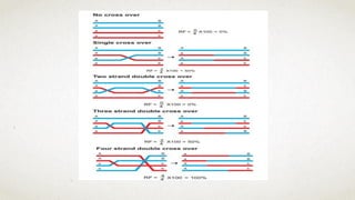 PRINCIPLES OF INHERITANCE Class XII Biology Part I | PDF