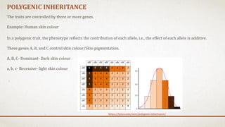 PRINCIPLES OF INHERITANCE Class XII Biology Part I | PDF