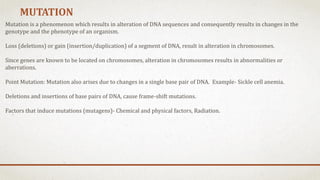 PRINCIPLES OF INHERITANCE Class XII Biology Part I | PDF | Gardening ...