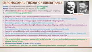 PRINCIPLES OF INHERITANCE Class XII Biology Part I | PDF