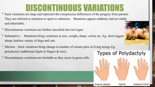 Principles of inheritance & variation I | PPTX