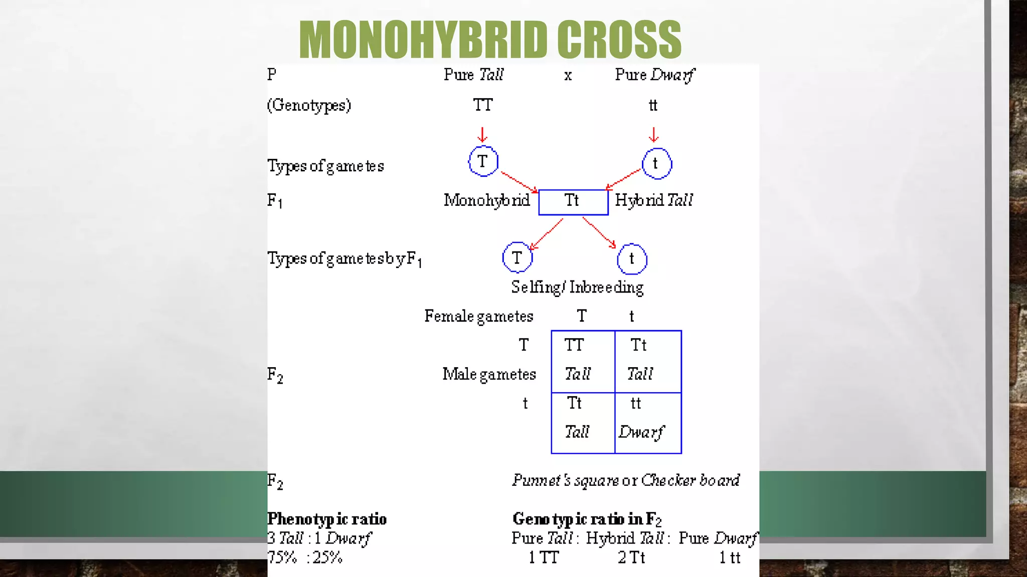 Principles of inheritance & variation II | PPT