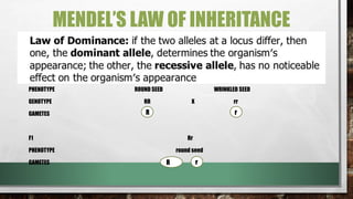 Principles of inheritance & variation II | PPT