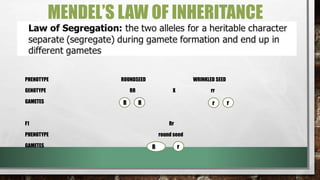 Principles of inheritance & variation II | PPT