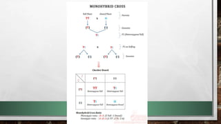 Principles of inheritance & variation II | PPT