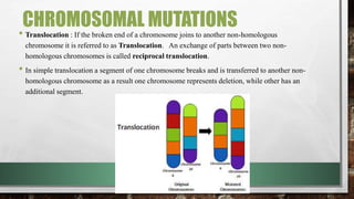 Principles of inheritance & Variation-IV | PPTX | Genetics | Science