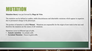 Principles of inheritance & Variation-IV | PPTX | Genetics | Science